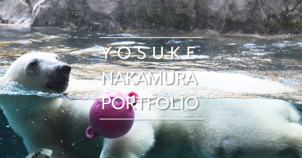 YOSUKE NAKAMURA PORTFOLIO