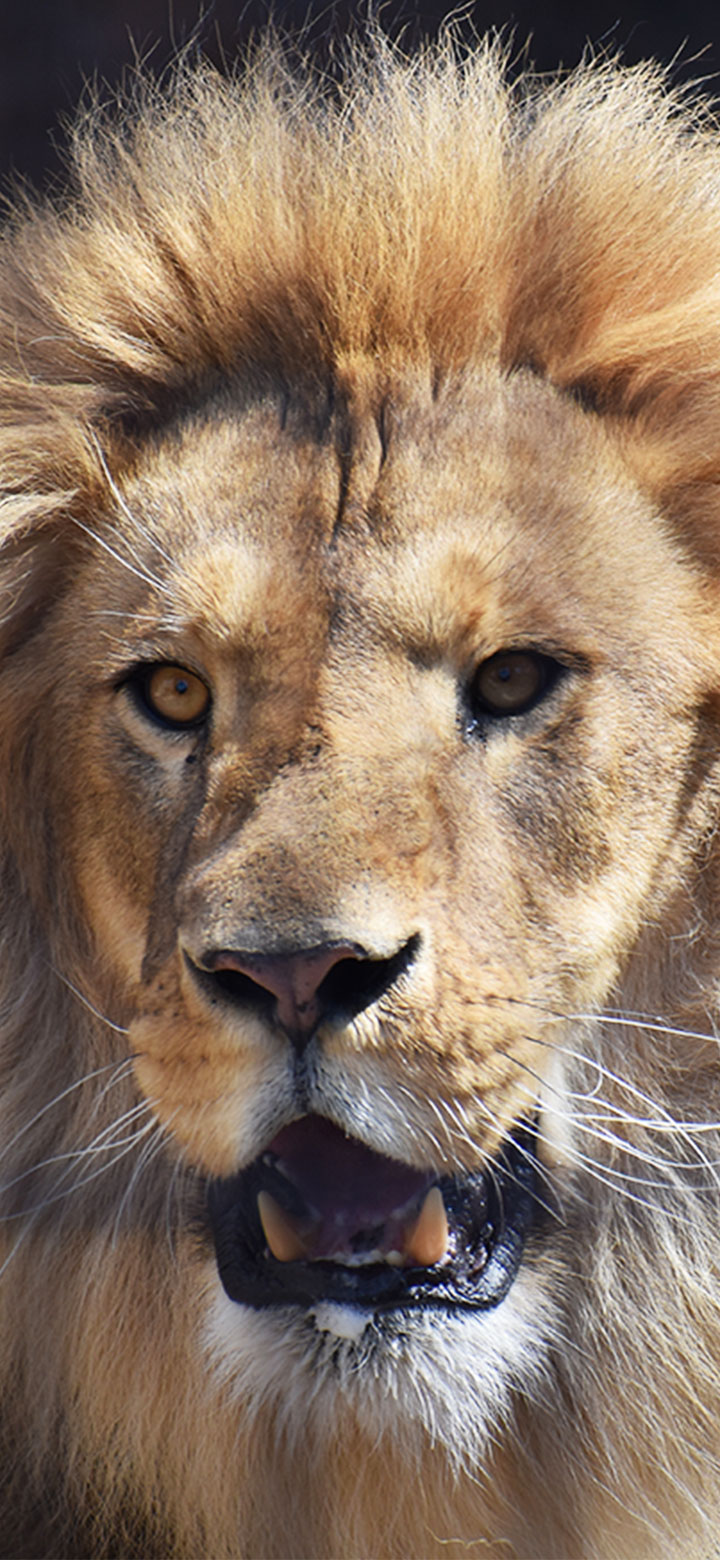 YOSUKE NAKAMURA PORTFOLIO