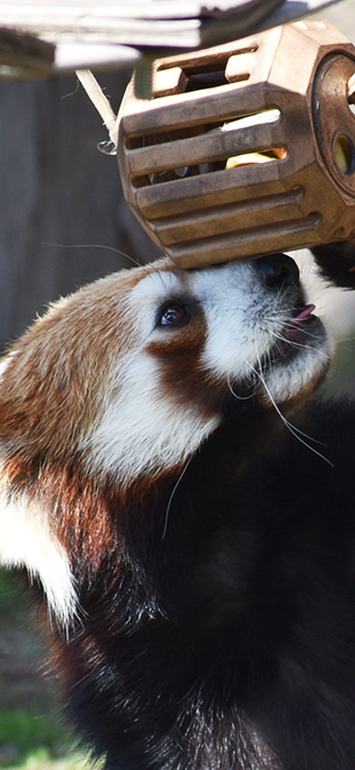 YOSUKE NAKAMURA PORTFOLIO