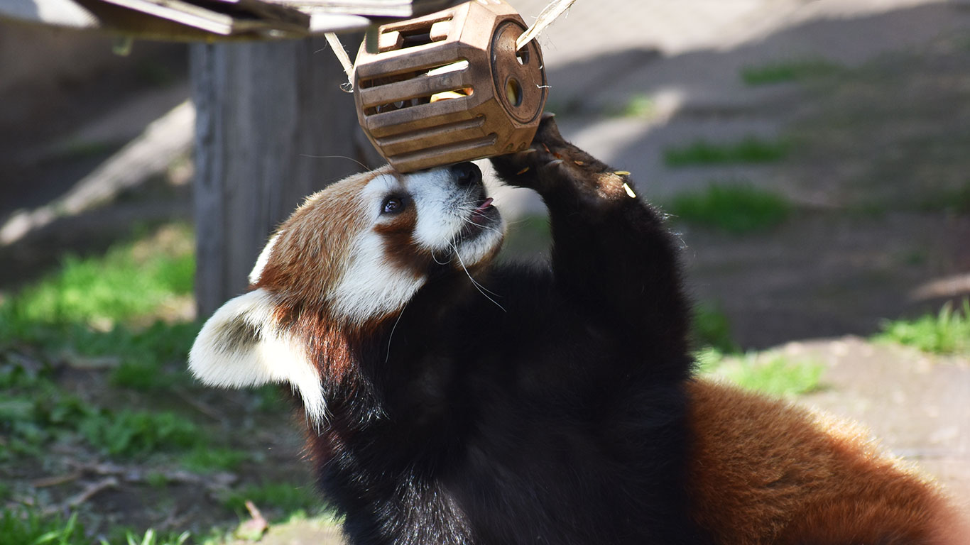 YOSUKE NAKAMURA PORTFOLIO